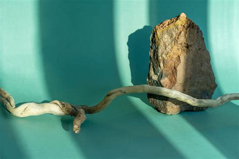 구성 빈 연단 재료 나무와 돌 제품 프레젠테이션 배경 베이지 그린 천연 소재에서 아름 다운 배경입니다 공연에 대한 스톡 사진 및 기타 이미지 Istock