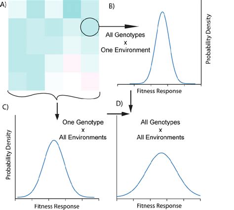 Individual Variation In Fitness Attributes Results Both From Genotypic