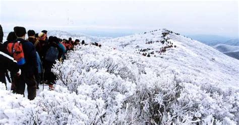 [알립니다] 강원도 눈꽃 스파 열차 여행