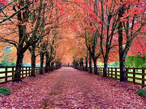 Seattle Autumn Wallpaper