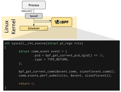 初识 Ebpf Think In Python