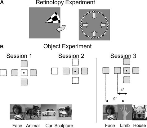 Design Of Our Experiments A Illustration Of The Stimuli In The