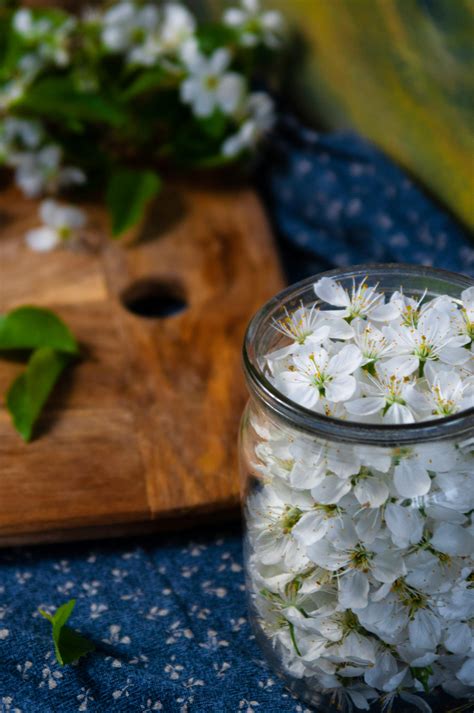 분홍색 벽에 흰색과 노란색 꽃 · 무료 스톡 사진