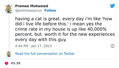 30 Hilarious Cases Of Cats Being Total Criminals And Causing Havoc In