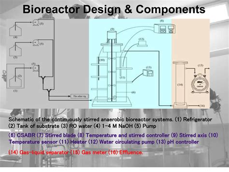 Bioreactor On Bioprocess Engineering Ppt