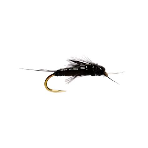 Little Black Stonefly Aquinaflies