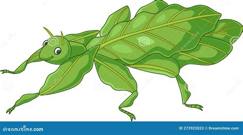 Phasmida Cartoons Illustrations And Vector Stock Images 25 Pictures To Download From