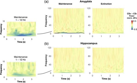 Timefrequency Decomposition Across Participants For Neural Responses Download Scientific