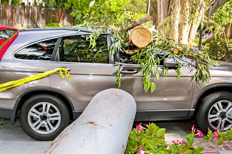 What Is Comprehensive Insurance Coverage