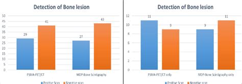Detection Of Bone Lesion On Scan Download Scientific Diagram