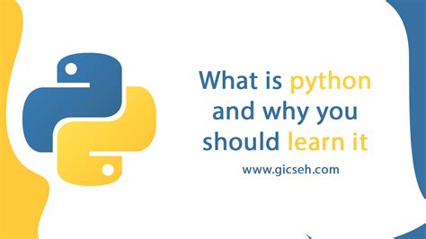 What Is Python And Why You Should Learn It