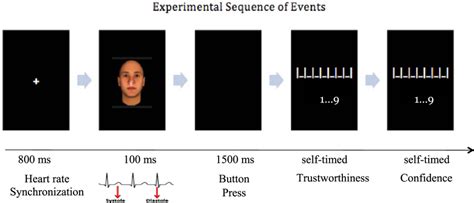 Experimental Task And Stimuli Timing Participants Completed A Target Download Scientific