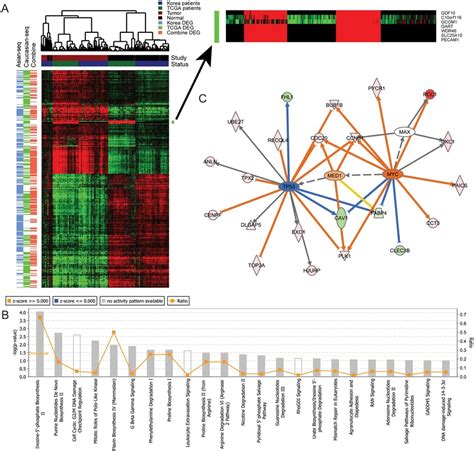 Enrichment Analyses Of Cohort Common Degs A Hierarchical Clustering