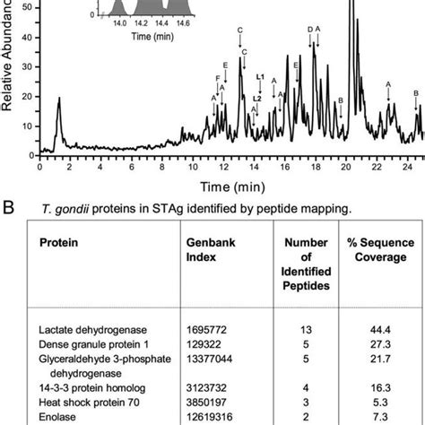 Lc Ms Ms Analysis Of Tryptic Peptides From T Gondii Protein Extract