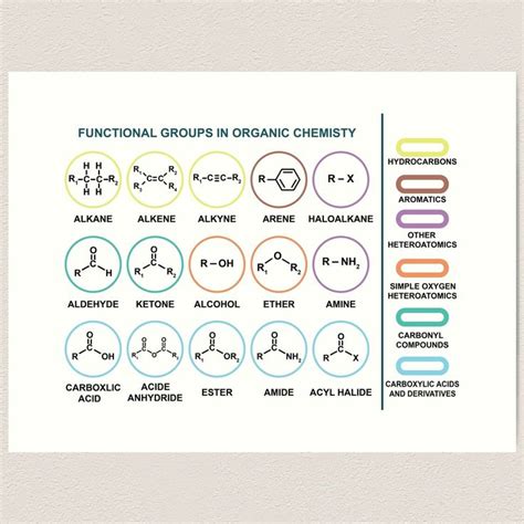 Functional Groups In Organic Chemistry Art Print For Sale By ScienceCorner Functional Group