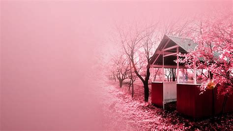วอลเปเปอร์ สีชมพู 1920x1080 Tt3 1473571 วอลเปเปอร์ Hd Wallhere