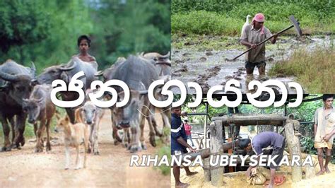 ටීකා සීපද පතල් කවි රිහන්සා උබේසේකර ළයිසියම් පානදුර සිංහල ජන ගායනා තරඟය 2018 ප්‍රථම