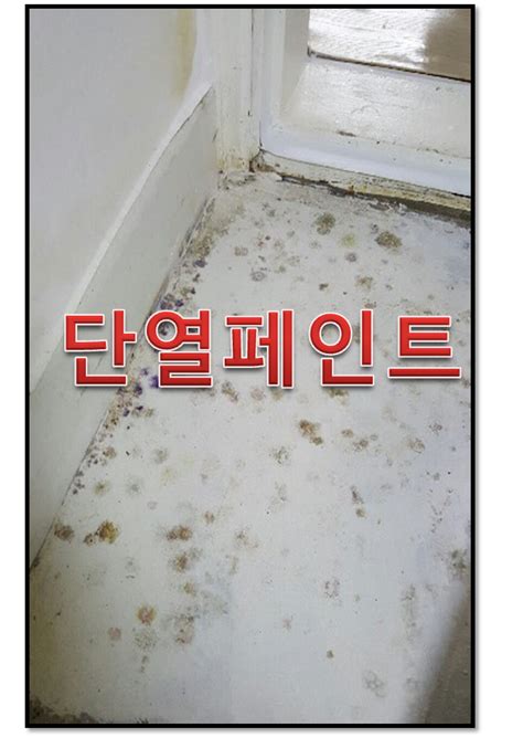여름형 벽 결로에 관하여여름철 지하실 벽 결로 반지하 벽 곰팡이 반지하방 벽지 결로 곰팡이 반지하방 방바닥 습기차단 방바닥 습기제거 해결방안 네이버 블로그