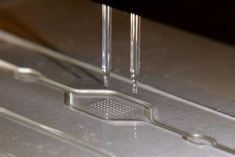 技术文章 微阵列 生物传感器 生物芯片点样仪 微流控 Scienion