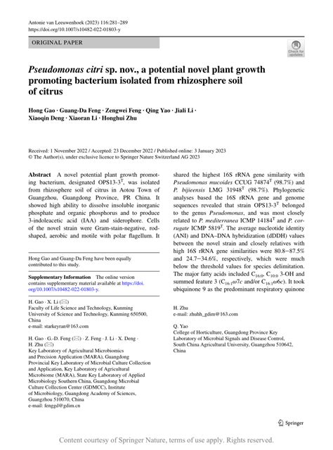 Pseudomonas Citri Sp Nov A Potential Novel Plant Growth Promoting Bacterium Isolated From
