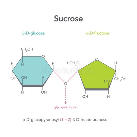 Chemical Structure Of Sucrose Diagram