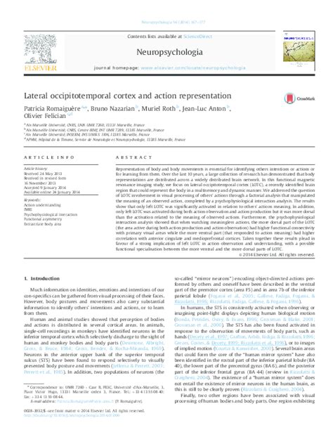 Pdf Lateral Occipitotemporal Cortex And Action Representation