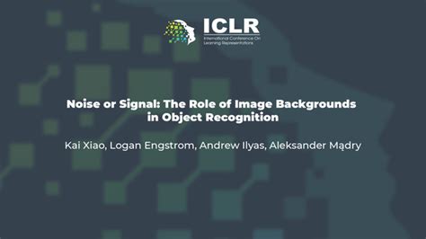 Kai Xiao Logan Engstrom Andrew Ilyas Aleksander Mądry · Noise Or Signal The Role Of Image