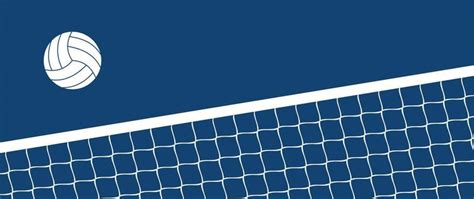 Volleyball Net Vector Art Icons And Graphics For Free Download
