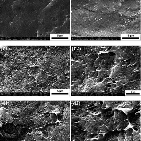 High Magnification Sem Micrographs Of Impact Fractured Surfaces Of