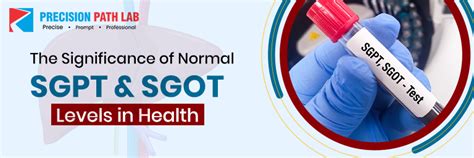 Ultimate Sgpt And Sgot Guide Symptoms Levels And More