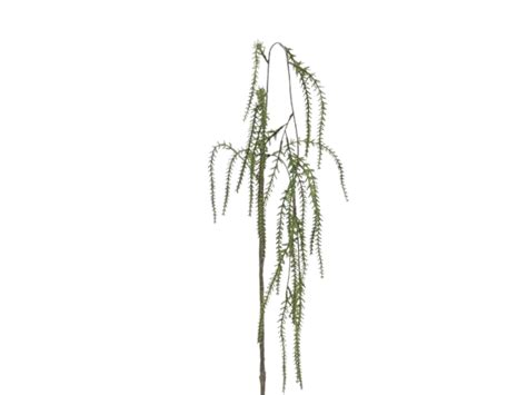 Artificial Amaranthus Linguagem Das Flores