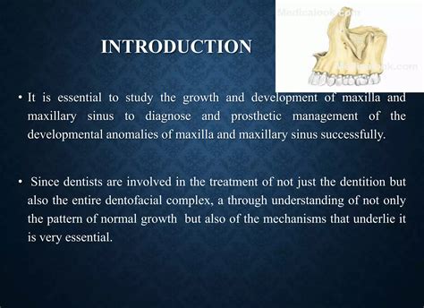 Maxilla Pptx