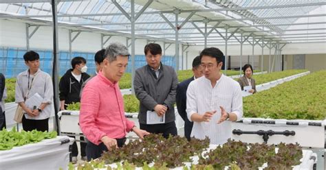 포항시 농업 혁신 기술 지원 잰걸음 분무수경재배 격려