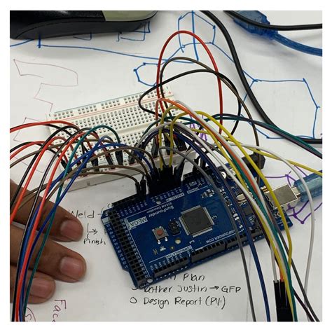 Green Roof Team For The Irrigation Project We Are Using