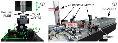 Biosensors Special Issue Optical Sensors For Biomedical Applications
