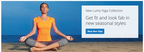 Css Luma Theme Magento 2 And Promo Label Stack Overflow