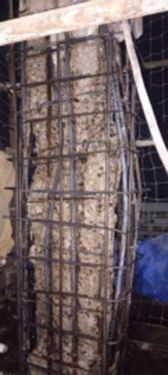 Emergency Rehabilitation Of Rcc Column In A Chemical Plant