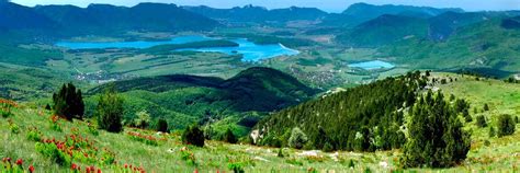 ДЕМЕТРА ЮГ92 питомник растений в Орлином Севастополе