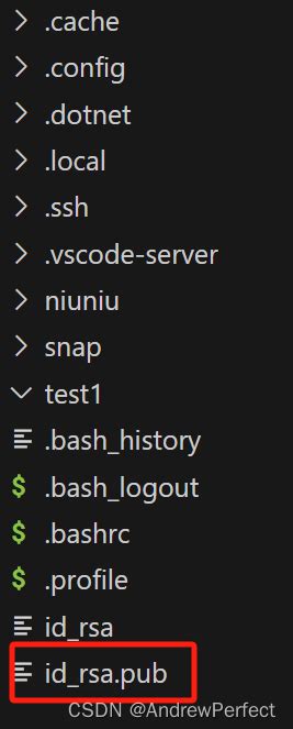 Vscode通过ssh连接服务器（吐血总结）vscode Ssh Csdn博客