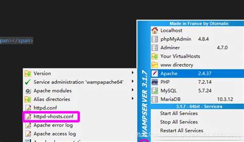 Wampserver服务器修改默认端口号 阿里云开发者社区