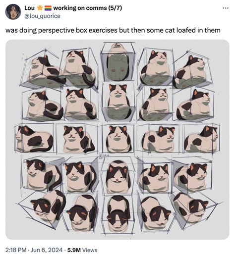 Perspective Box Redraws Perspective Box Redraws Know Your Meme