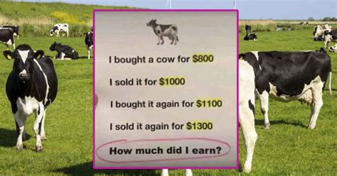 Take A Seat This Viral Cow Math Puzzle Will Take Your Brain For A Ride