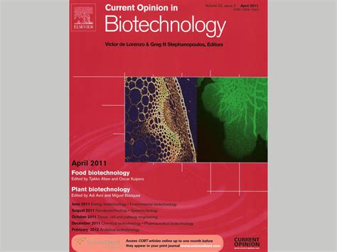 Biocatalysis From Lab To Industrial Applications Spinchem