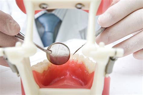 치은염 치주염 치수염… 뭐가 다를까 당신의 건강가이드 헬스조선