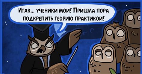 Переходим от теории к практике 21 08 23 08 00 Пикабу