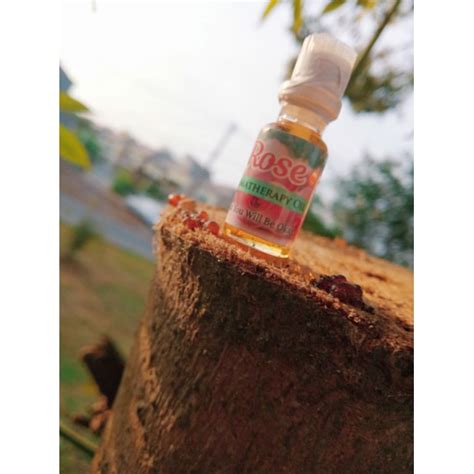 Jual Minyak Aromaterapi Bakar Burner Oil Diffuser Banyak Varian