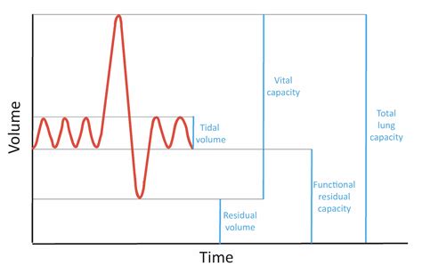Restrictive Spirometry Graph At Gary Mckellar Blog
