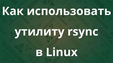 Как использовать утилиту Rsync в Linux