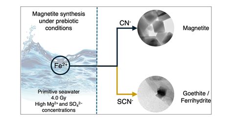 Influence Of Cyanide And Thiocyanate On The Formation Of Magnetite Synthesized Under Prebiotic