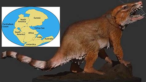 130 Million Year Old Fossil Gives Evidence That Pangea Separated Later Than Thought